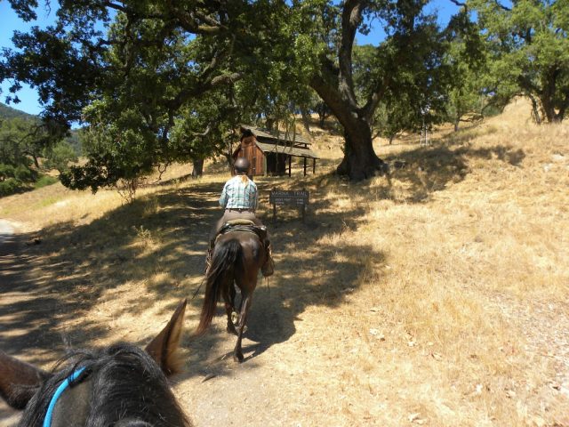 Horse Trail Rides at Lopez Lake : Riding the SLO County Trails | SLO ...