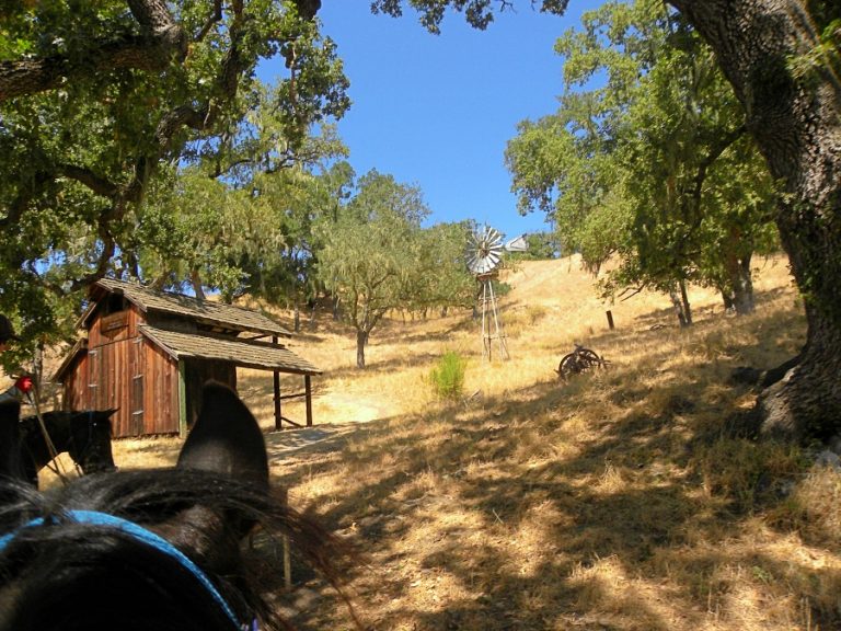 Horse Trail Rides at Lopez Lake : Riding the SLO County Trails | SLO ...
