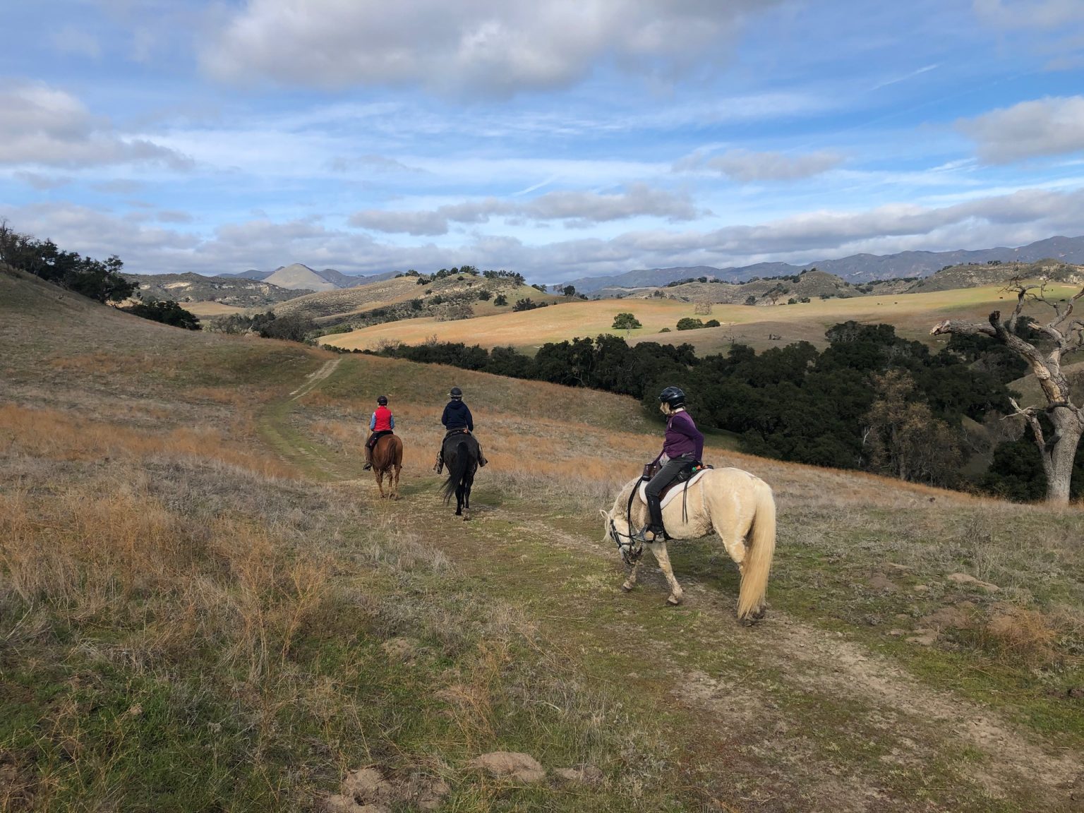 CANTER USA: Giving Off the Track Thoroughbreds a New Start | SLO Horse News