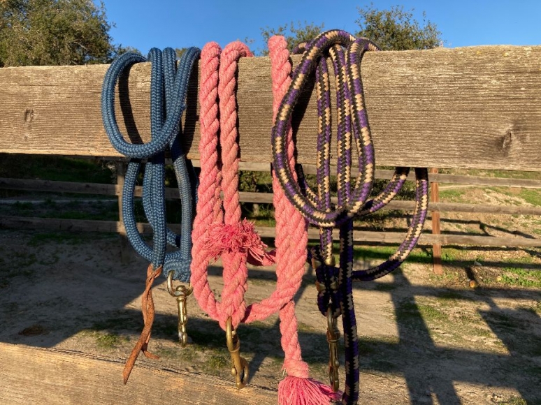 Fun and Function of the Horse Halter | SLO Horse News