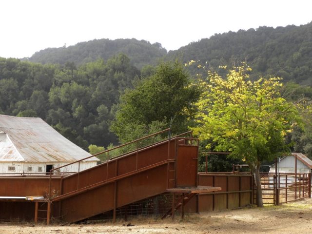 Equestrians Explore the Stunning Ranching Landscape of Santa Rita Ranch ...