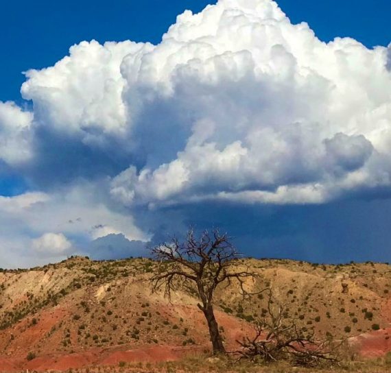 Riding the Wild West Horseless: A SLO County Resident’s Epic Adventure ...