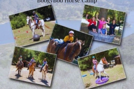 The NEW Cal Poly Horse Unit – A State of the Art Facility | SLO Horse News