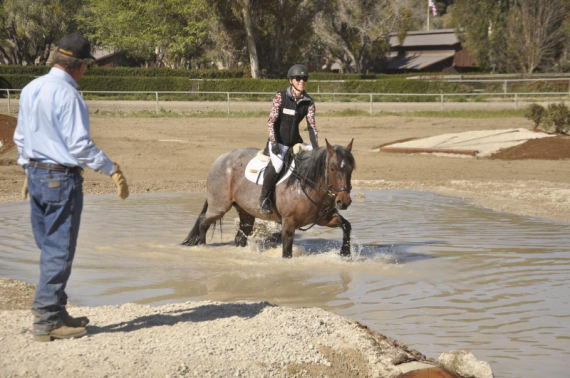 Cal Poly's 75th Anniversary Poly Royal Rodeo - SLO Horse News
