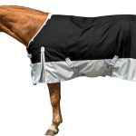 Dura Tech Viking Turn out - a - SLO Horse News