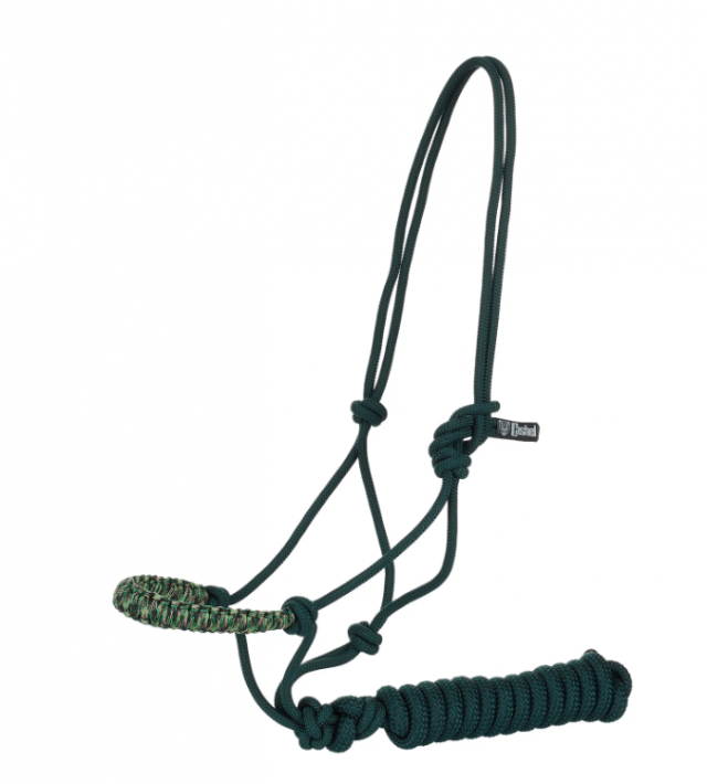 Fun and Function of the Horse Halter | SLO Horse News