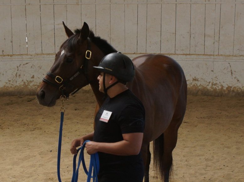 Join-Up International Celebrates a Quarter Century of Service | SLO ...