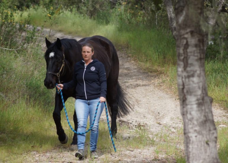 Hand-Walking Activities for Keeping Your Horse Active | SLO Horse News