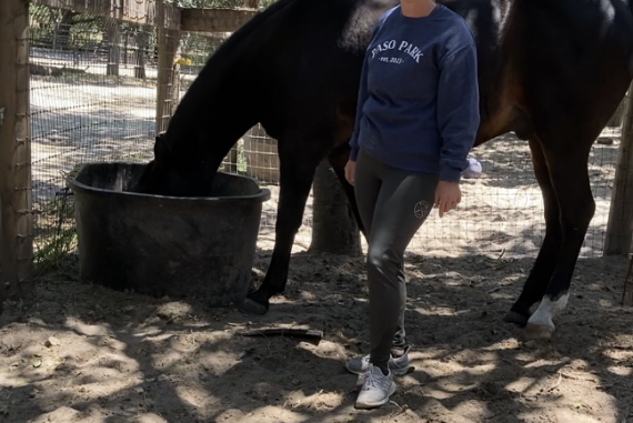 Ben Londo and Cal Poly Rodeo - SLO Horse News