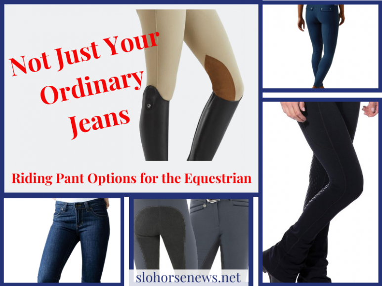 Riding Pant Options for the Equestrian : Not Just Your Ordinary Jeans ...